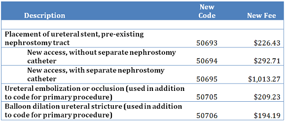 2016 Coding Changes Affect Interventional Practices | HAP