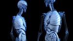 Coding & Documentation for y-90 Radioembolization Procedures