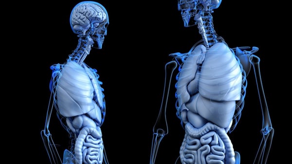 Coding & Documentation for y-90 Radioembolization Procedures
